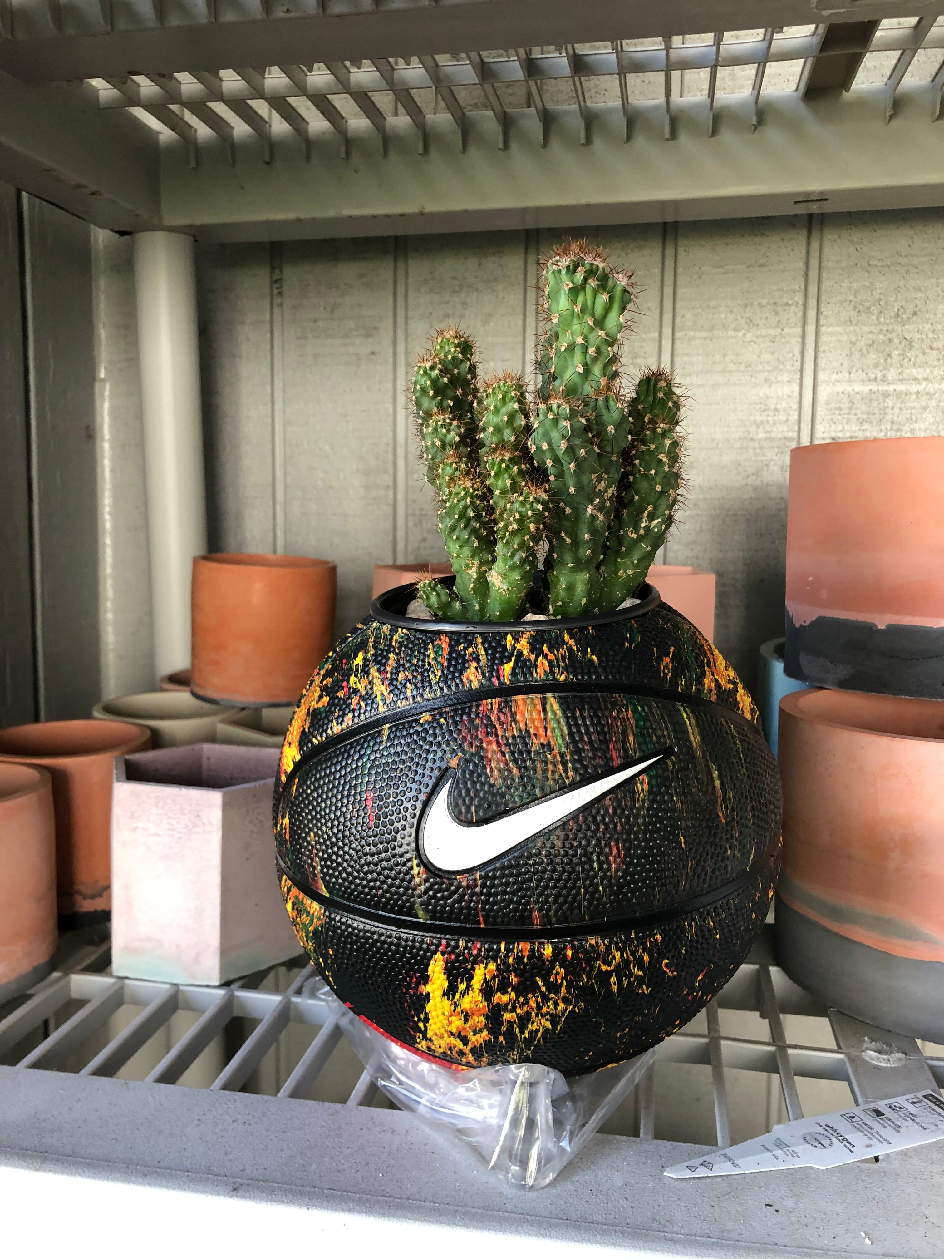 Mini Next Nature Basketball Planter – Tally Plant Club